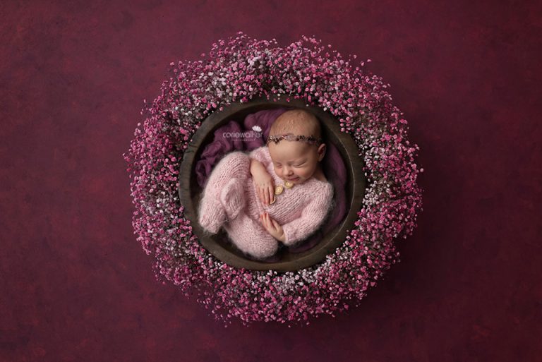 Fairy Tale Collection | Corie Walker Photography | Hudson Ohio